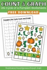 Engaging Preschool Math: Pumpkin Life Cycle Count and Graph
