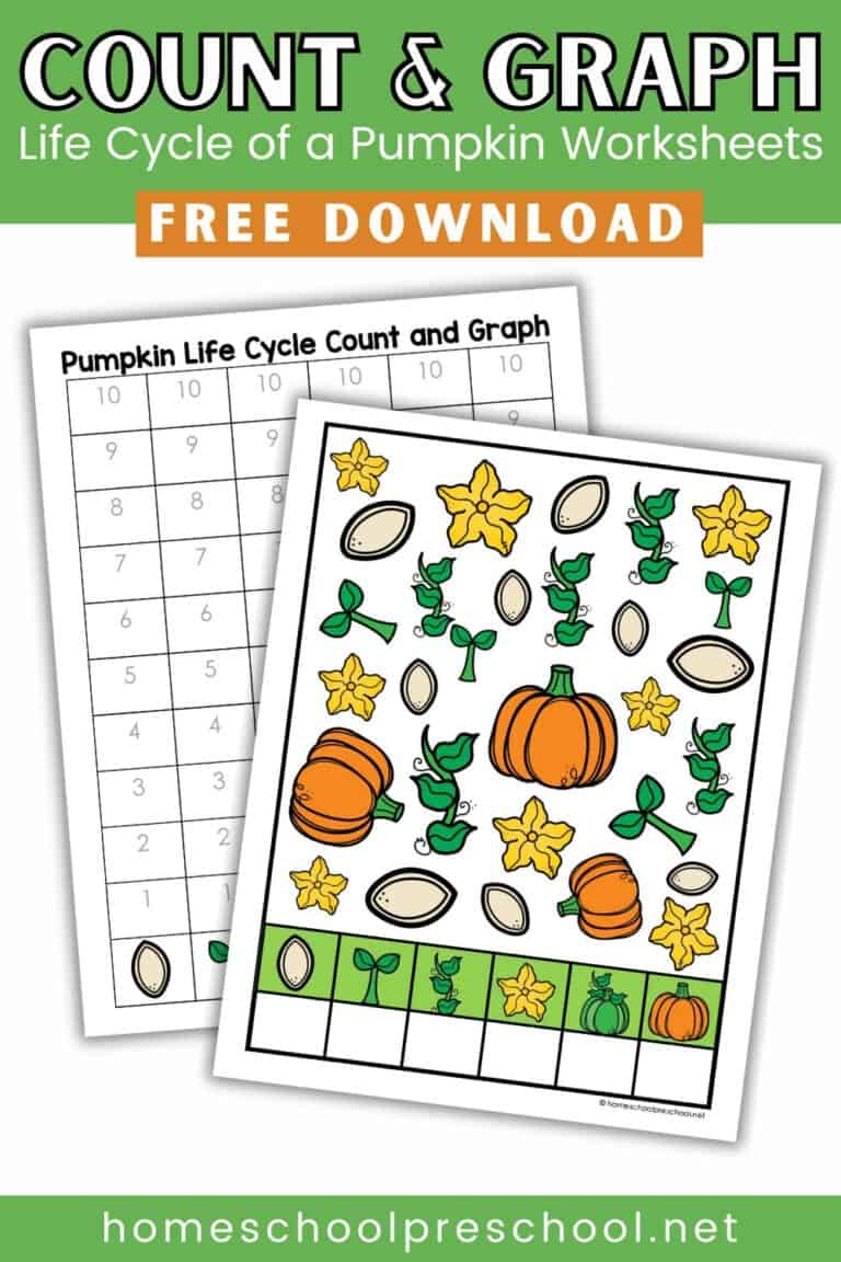 Engaging Preschool Math: Pumpkin Life Cycle Count and Graph