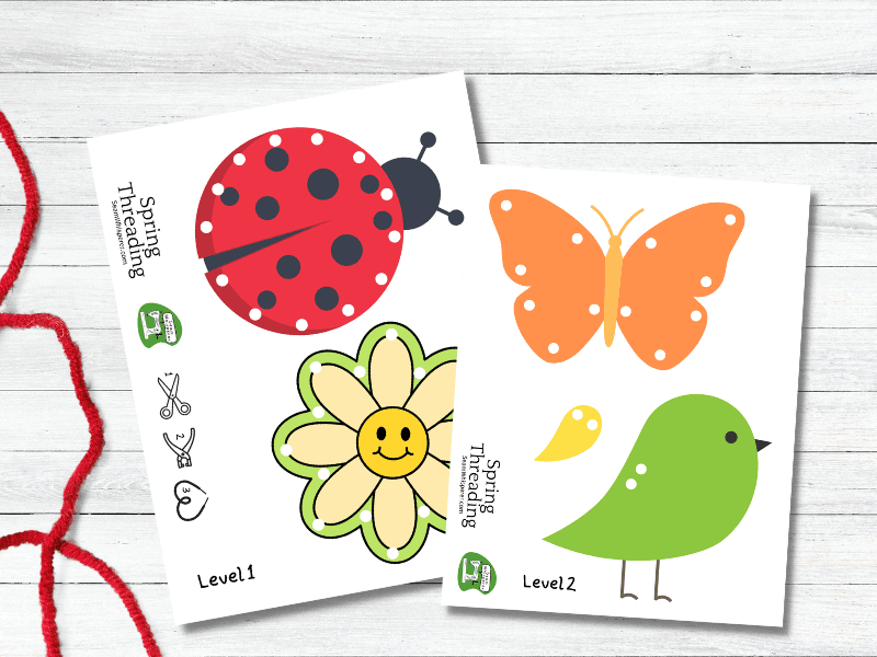 Bug Activities for Preschoolers (Easy Ideas for Ages 3–5)