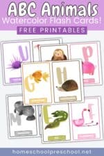 Boost Early Literacy Skills with ABC Animal Flash Cards