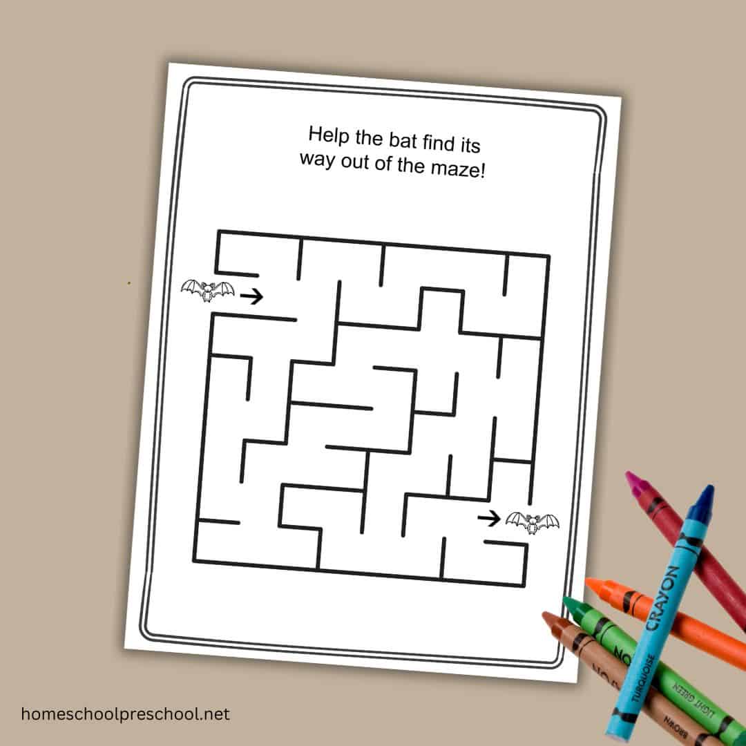 Bat Life Cycle Printable: Engaging Preschool Learning