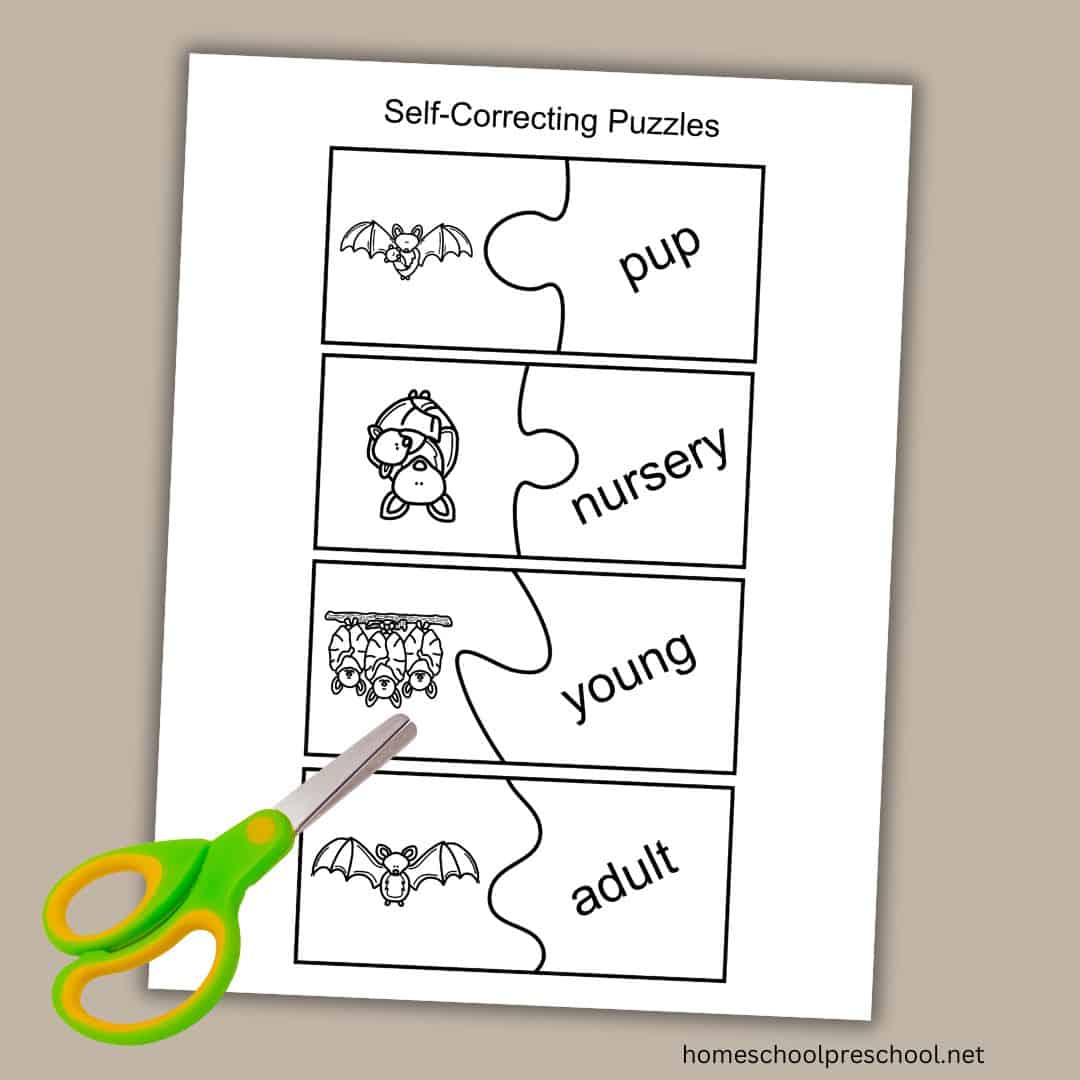 Bat Life Cycle Printable: Engaging Preschool Learning