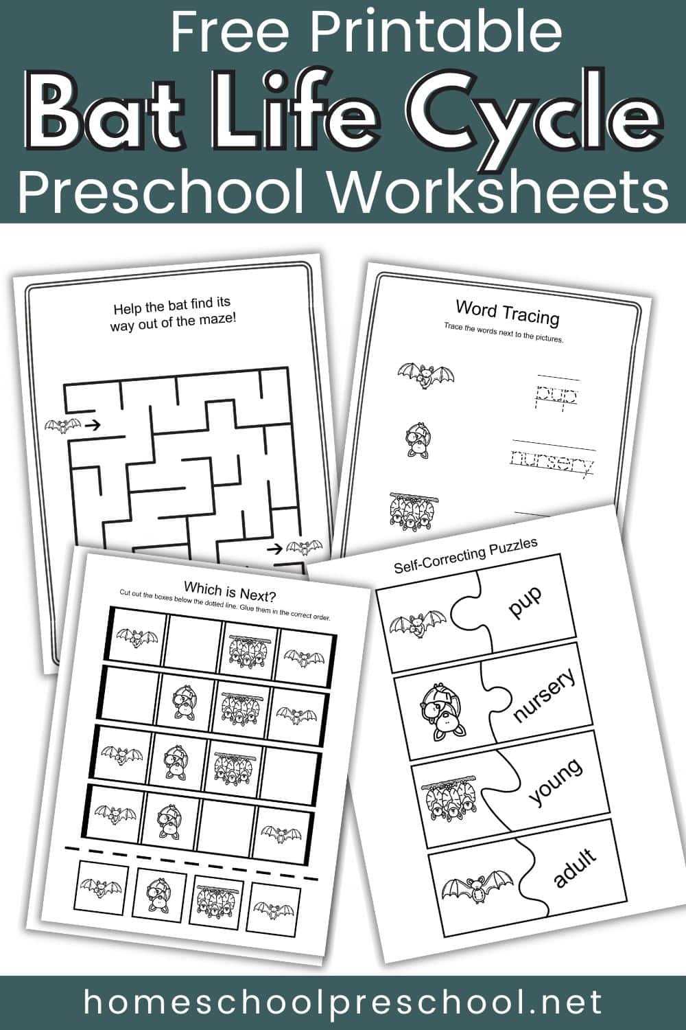 Bat Life Cycle Printable: Engaging Preschool Learning