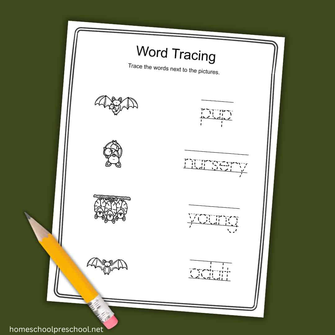 Bat Life Cycle Printable: Engaging Preschool Learning