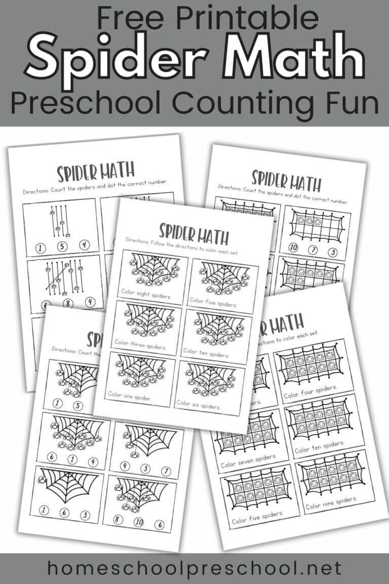 Free Spider Counting Preschool Worksheets and Activities
