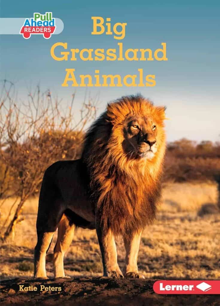 Top Animal Habitat Books for Kindergarten Kids