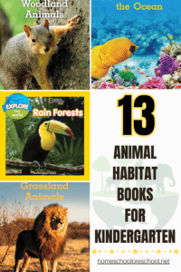 Top Animal Habitat Books for Kindergarten Kids