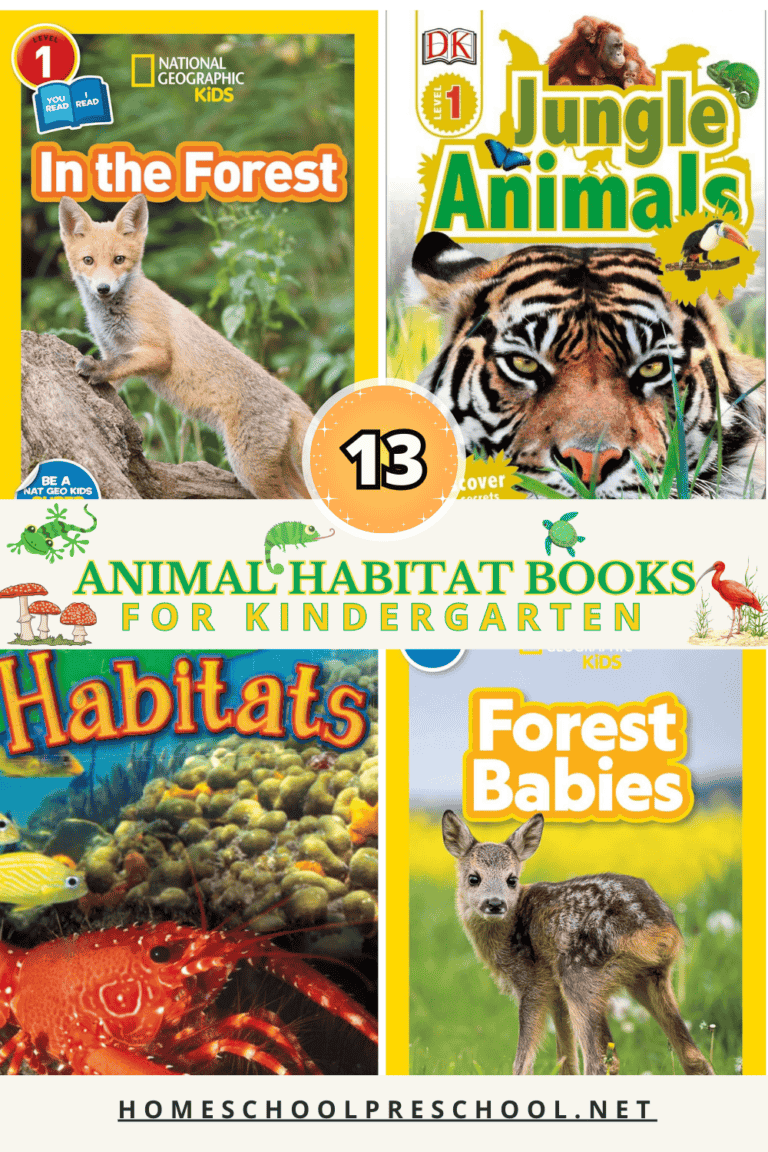 Top Animal Habitat Books for Kindergarten Kids