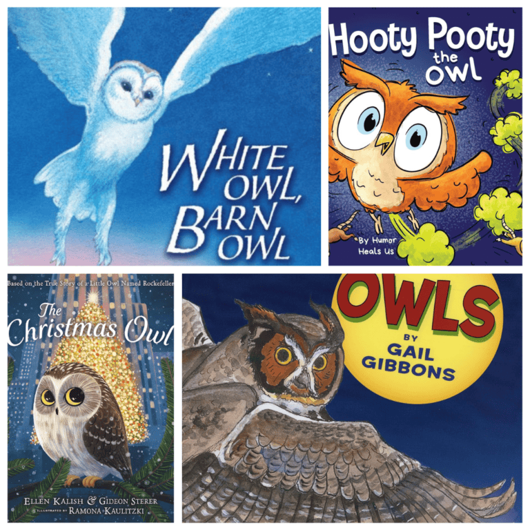 Enchanting Picture Books About Owls for Fall Storytime