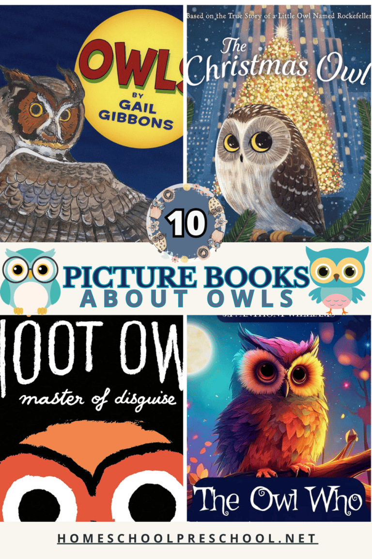 Enchanting Picture Books About Owls for Fall Storytime
