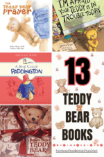 Cozy Teddy Bear Books for Kids