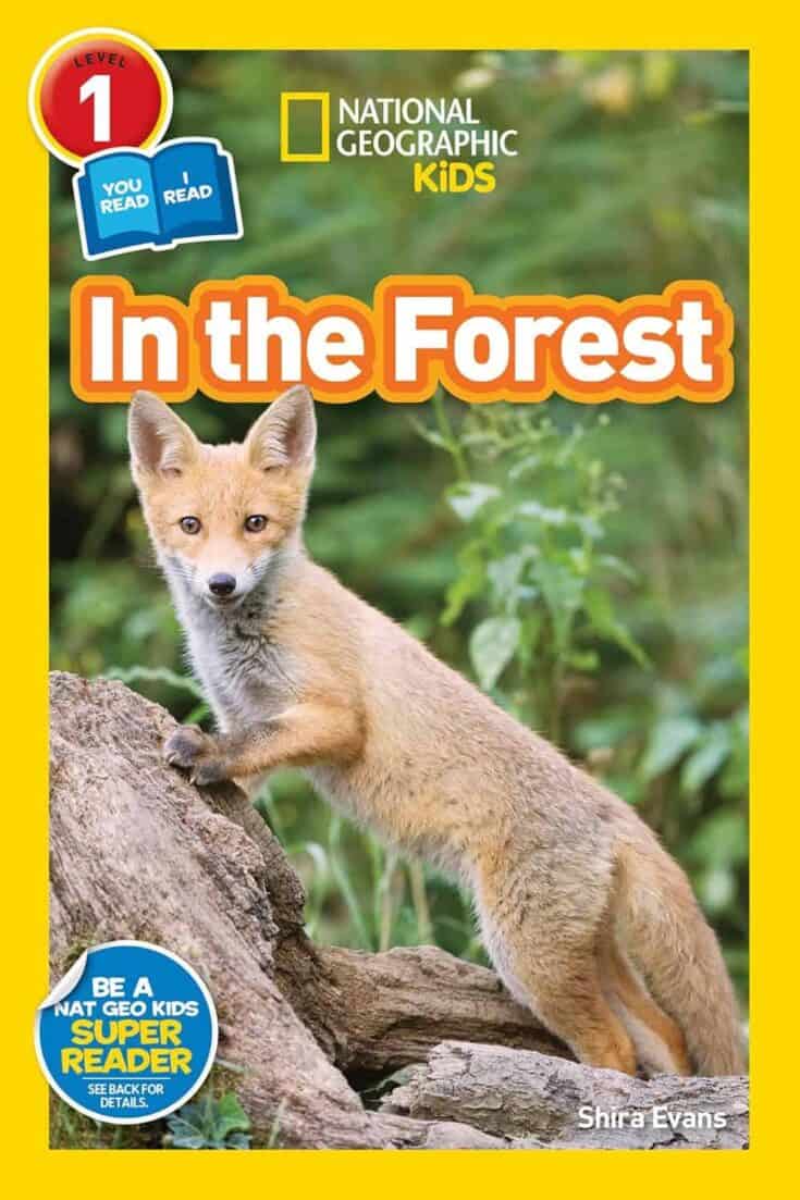 Top Animal Habitat Books for Kindergarten Kids