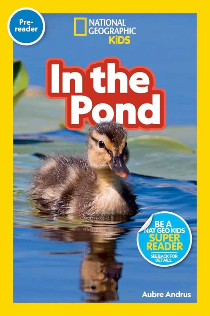 Top Animal Habitat Books for Kindergarten Kids