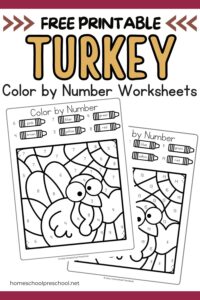 Color by Number Turkey Printable for Preschool Fun