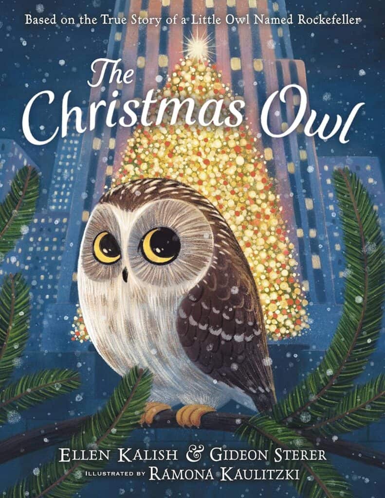 Enchanting Picture Books About Owls for Fall Storytime