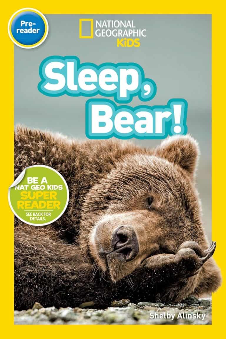 Discover the Best Hibernation Books for Preschoolers