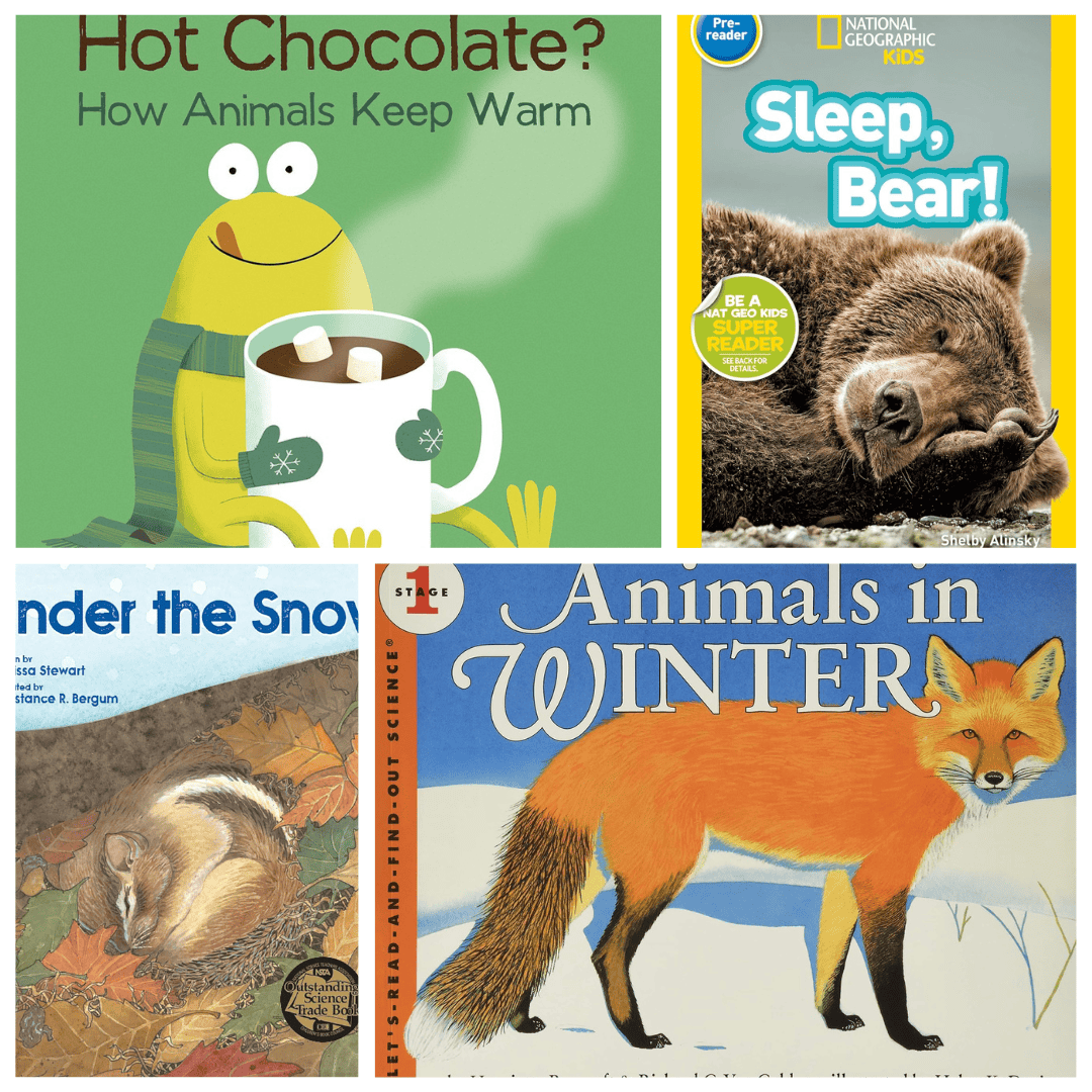 Discover the Best Hibernation Books for Preschoolers