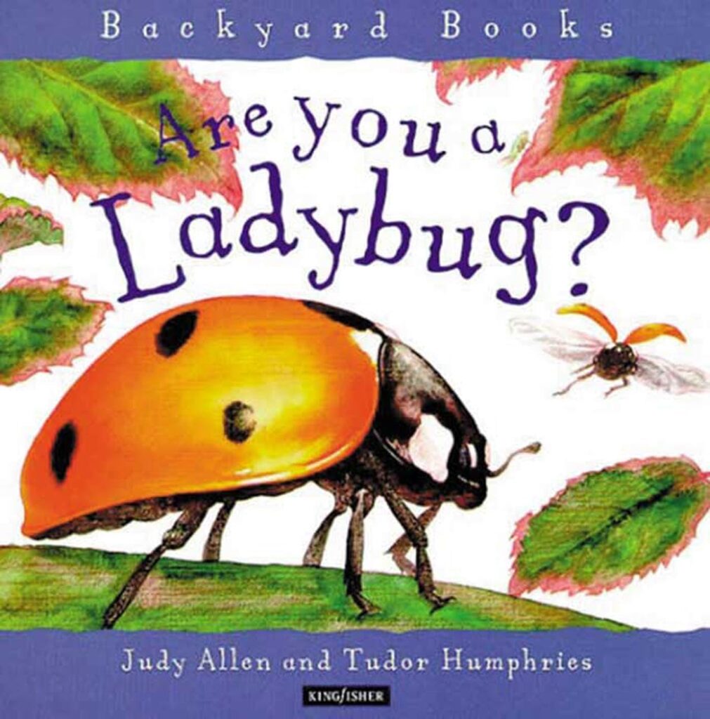 15 Engaging Preschool Books About Insects for Curious Kids