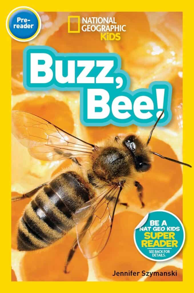 15 Engaging Preschool Books About Insects for Curious Kids