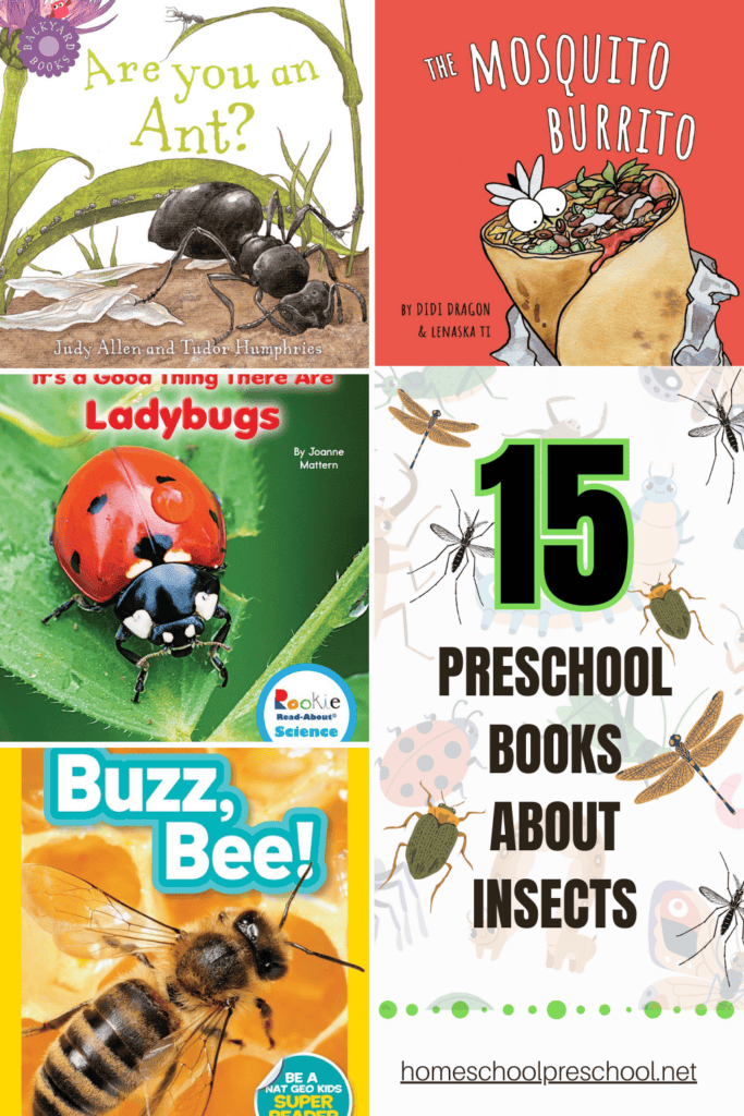 15 Engaging Preschool Books About Insects for Curious Kids