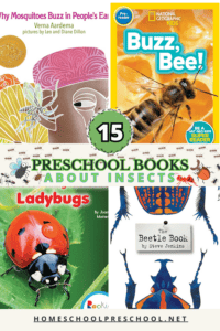 15 Engaging Preschool Books About Insects for Curious Kids