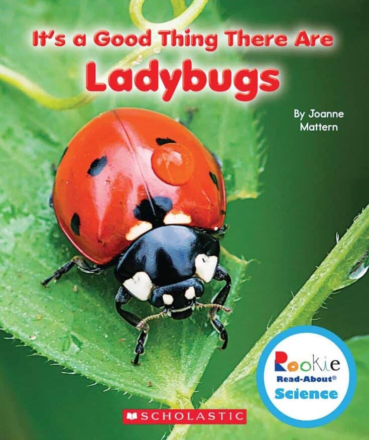 15 Engaging Preschool Books About Insects for Curious Kids