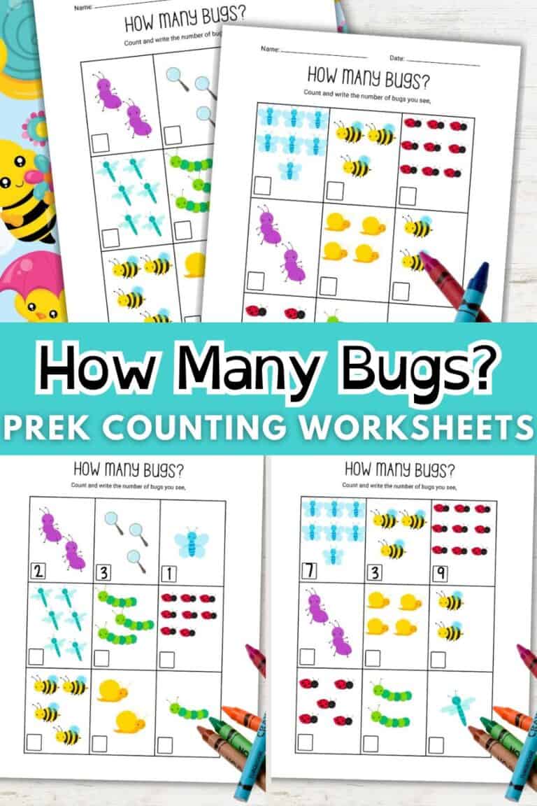 Pre-K Bug Counting Worksheets for Early Math Practice