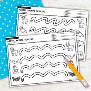 Free Printable Arctic Animals Tracing Worksheets for Preschool