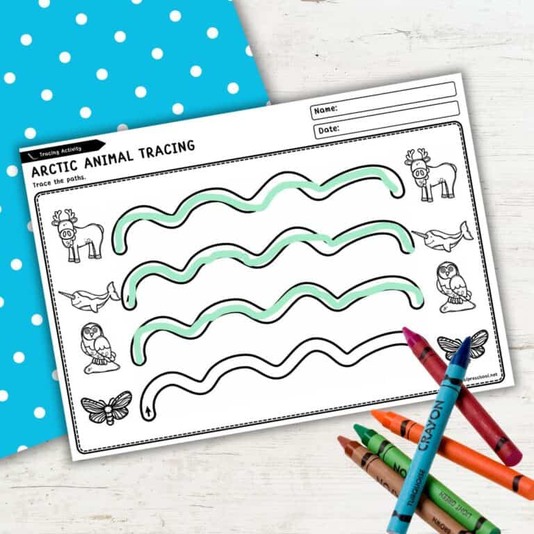 Free Printable Arctic Animals Tracing Worksheets for Preschool