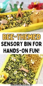 Bee Sensory Bin for Preschool (Simple Pre-K Sensory Tray)
