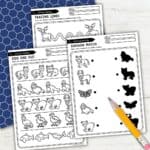 Arctic Animal Fine Motor Activities for Preschool Kids