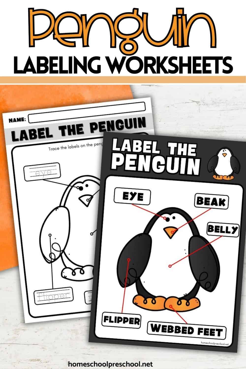 Parts of a Penguin Worksheet (Free Printable for Preschool)