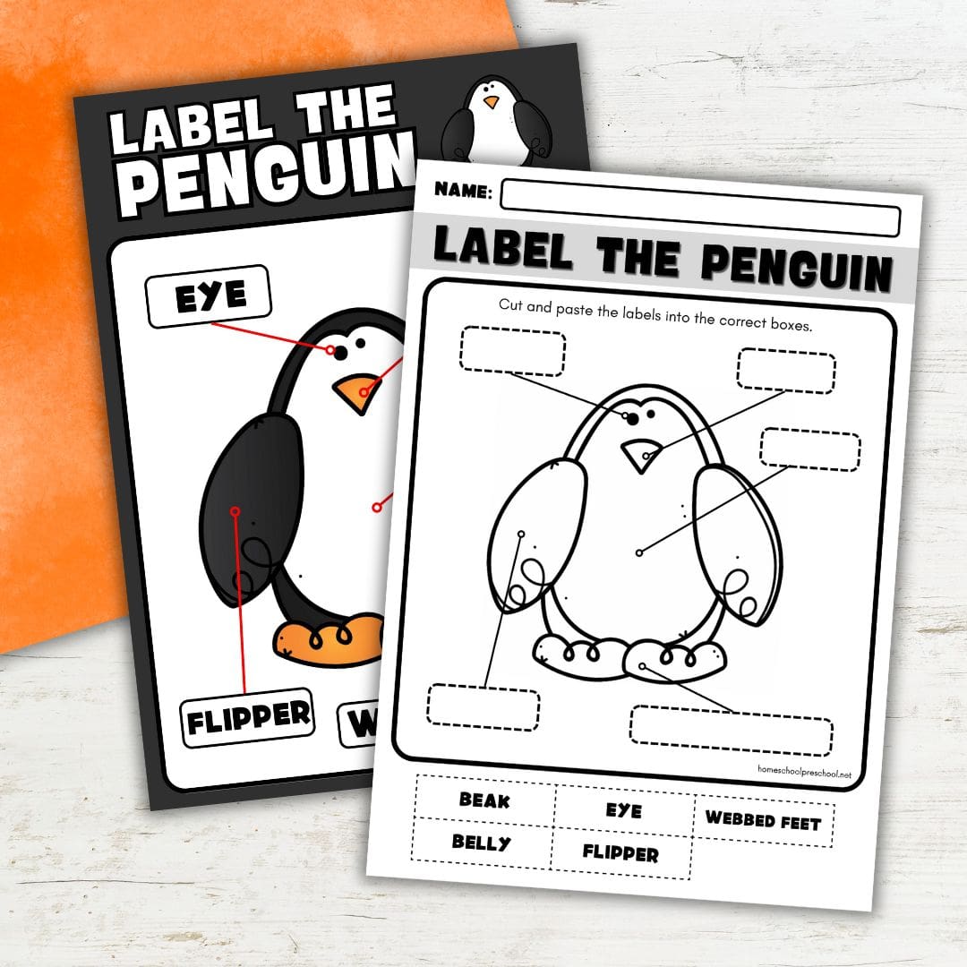 Parts of a Penguin Worksheet (Free Printable for Preschool)