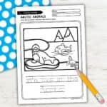 Arctic Animals Preschool Printables for Fun Learning