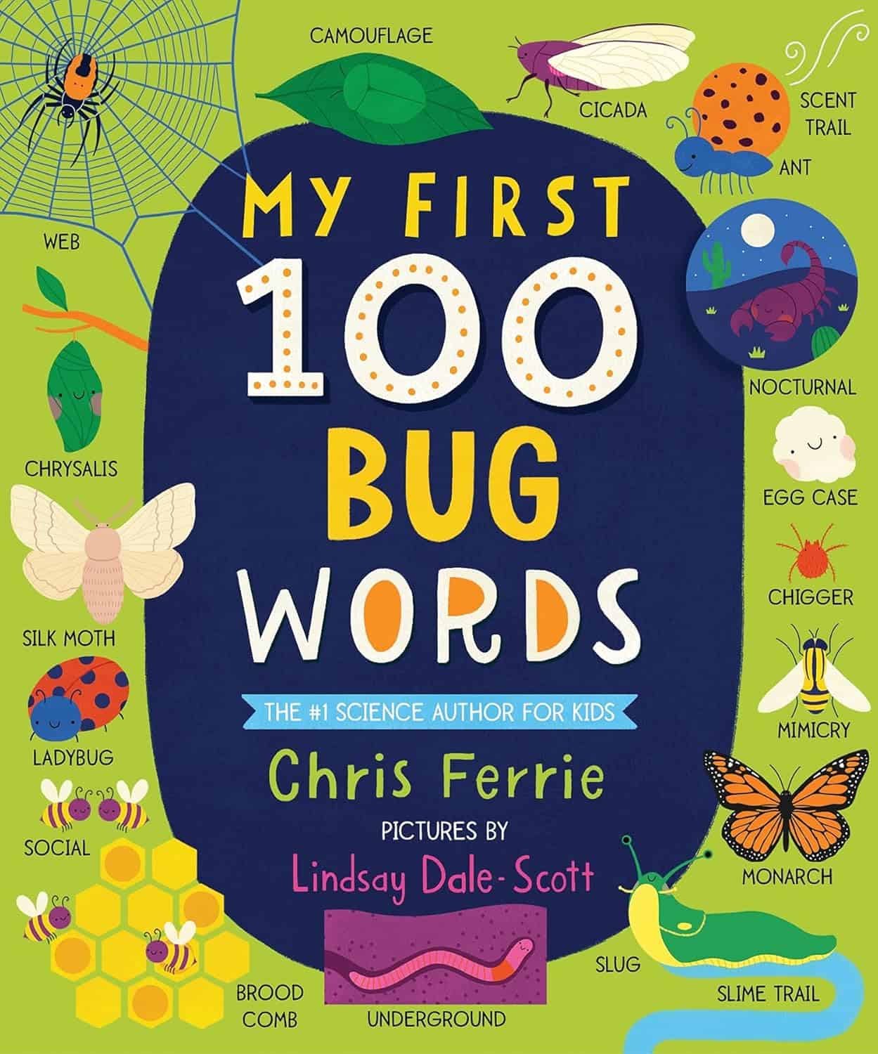 Best Insect Books for Toddlers – Fun Bug Stories for Kids