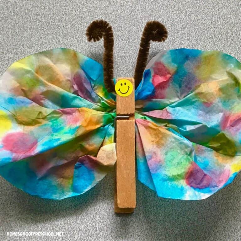 Fun & Easy Life Cycle of a Butterfly Lesson Plan for Kids