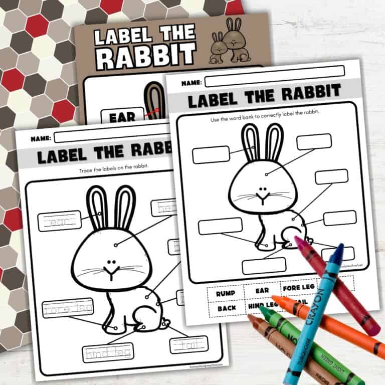 Parts of a Rabbit Worksheet – Free Preschool Printables