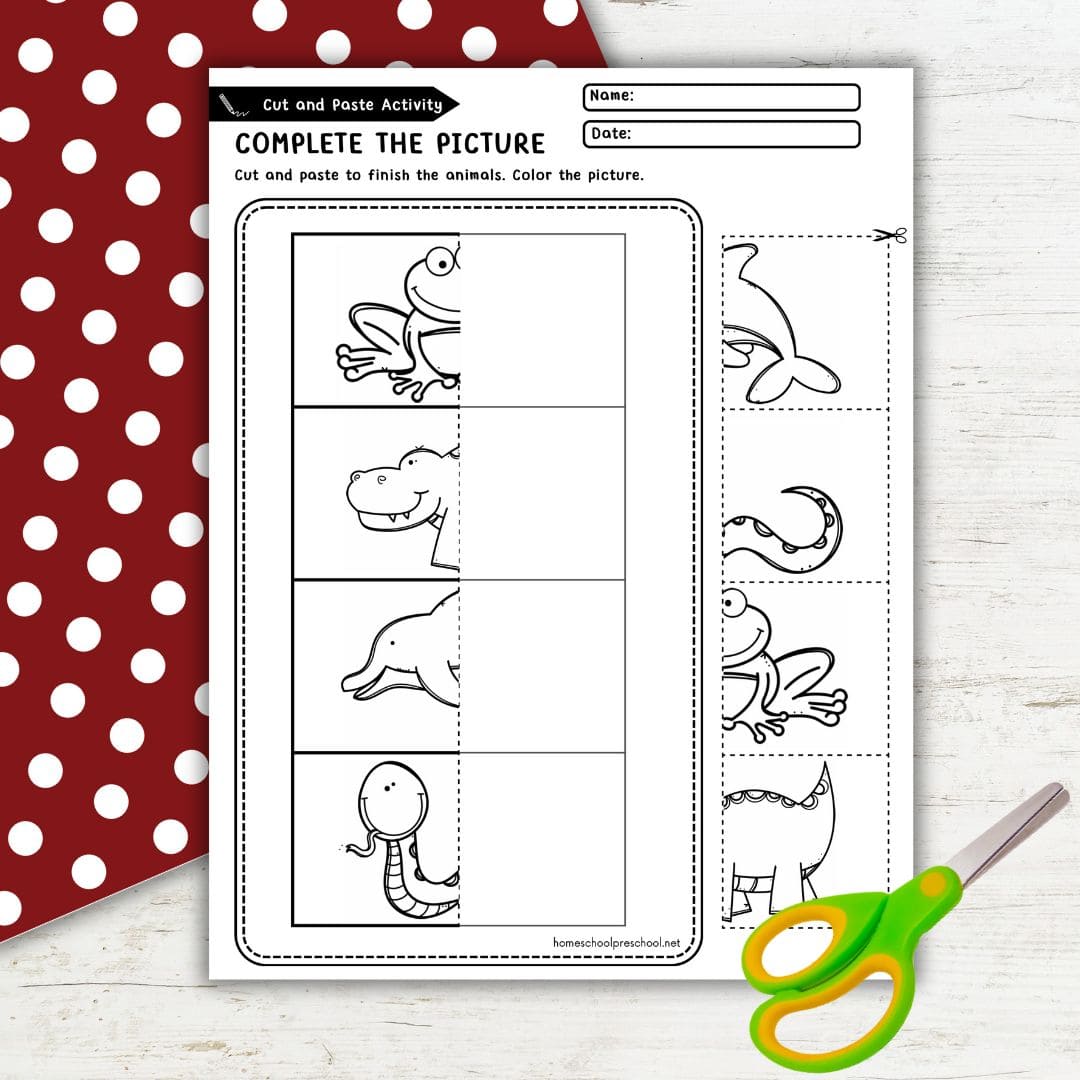 Zoo Animals Cut and Paste Worksheets for Preschoolers