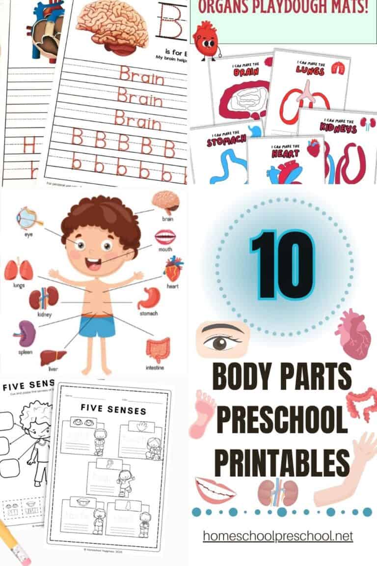 Fun Body Parts Preschool Printables for Kids