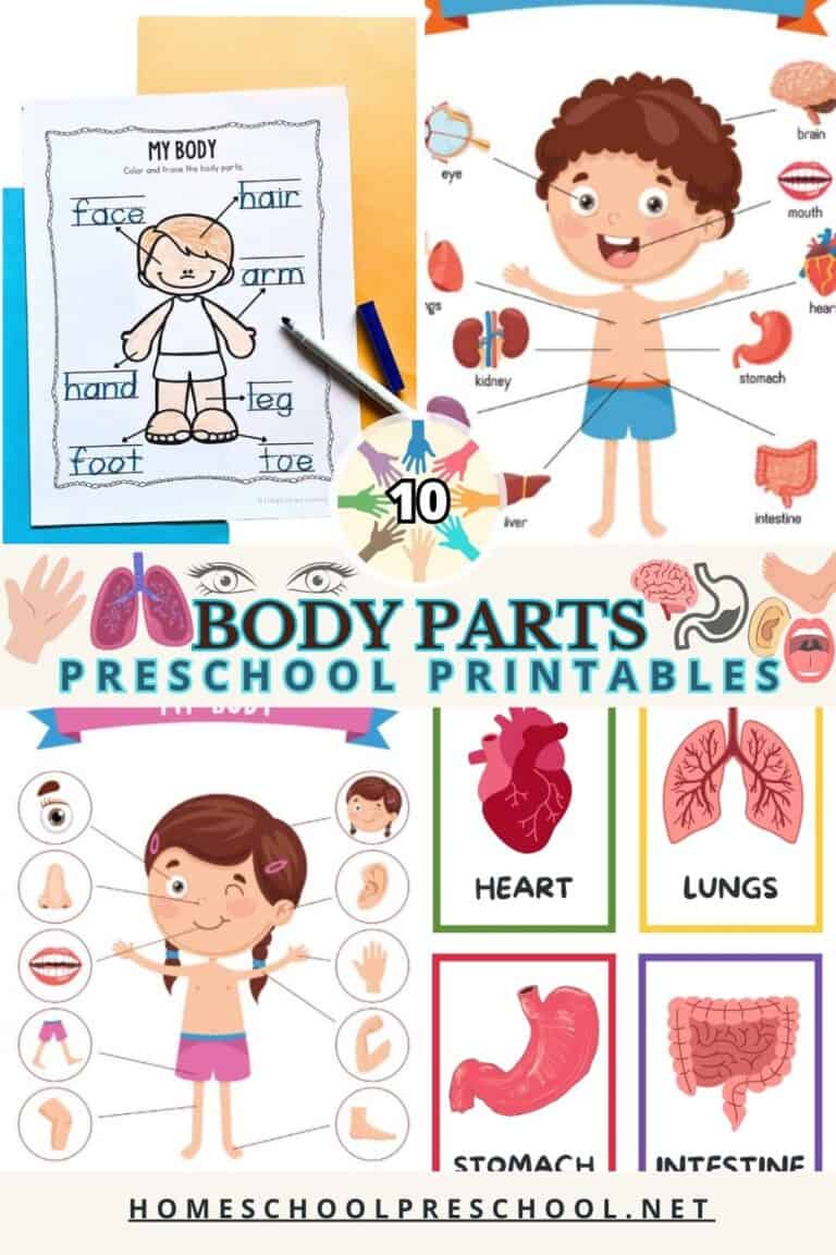 Fun Body Parts Preschool Printables for Kids