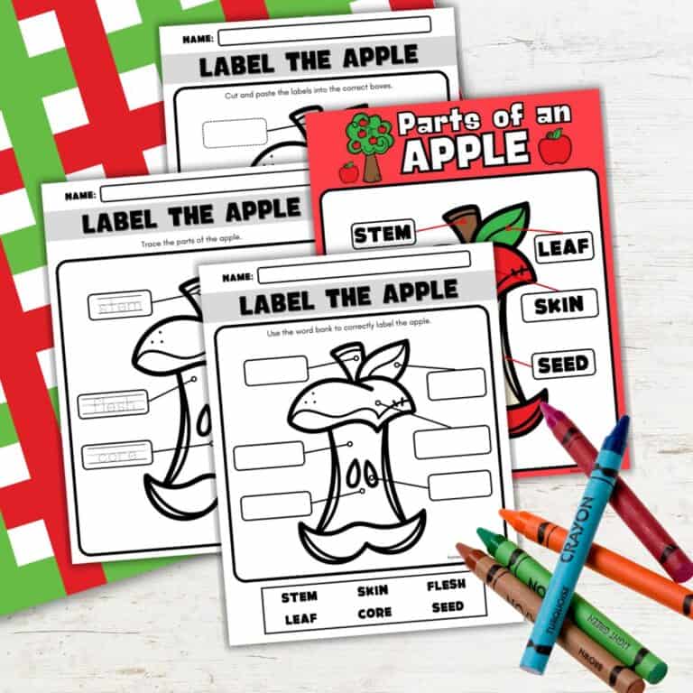 Labeling Parts of an Apple – Fun Apple Preschool Activity