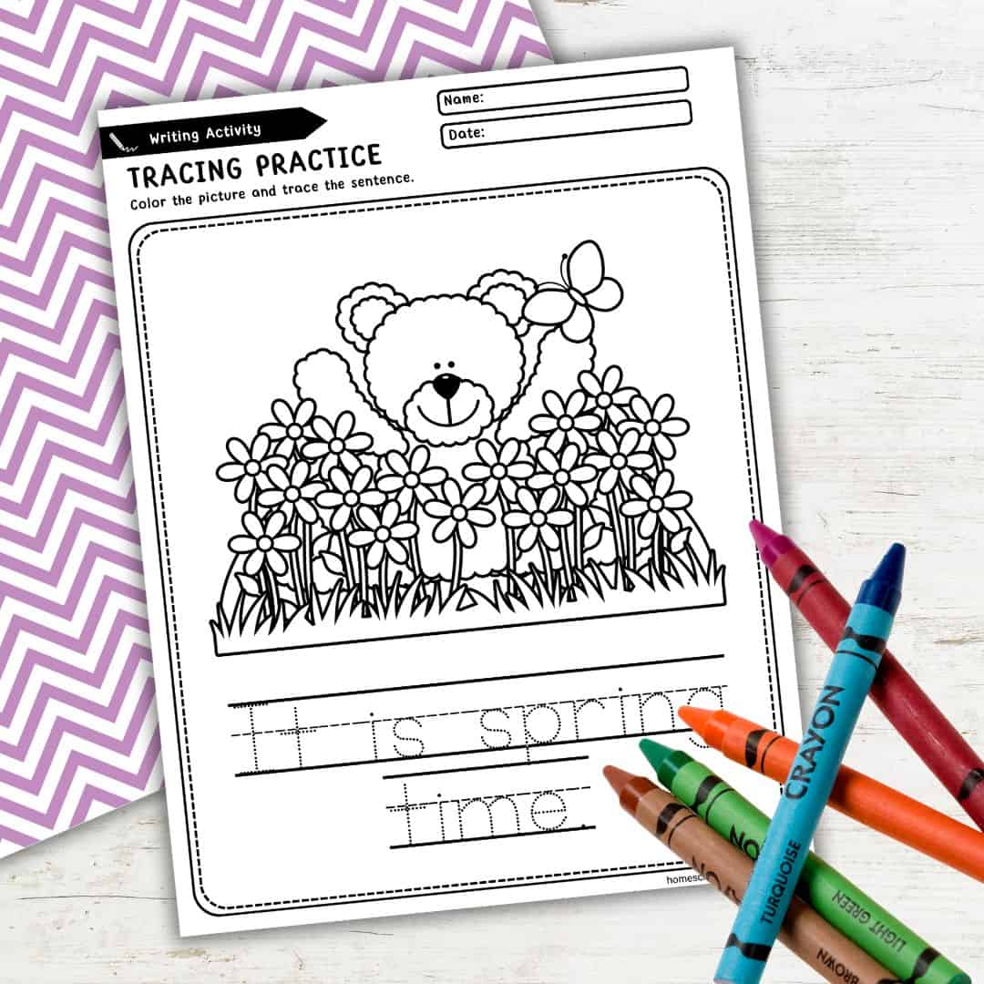 Spring Bear Alphabet Worksheets for Preschool Fun