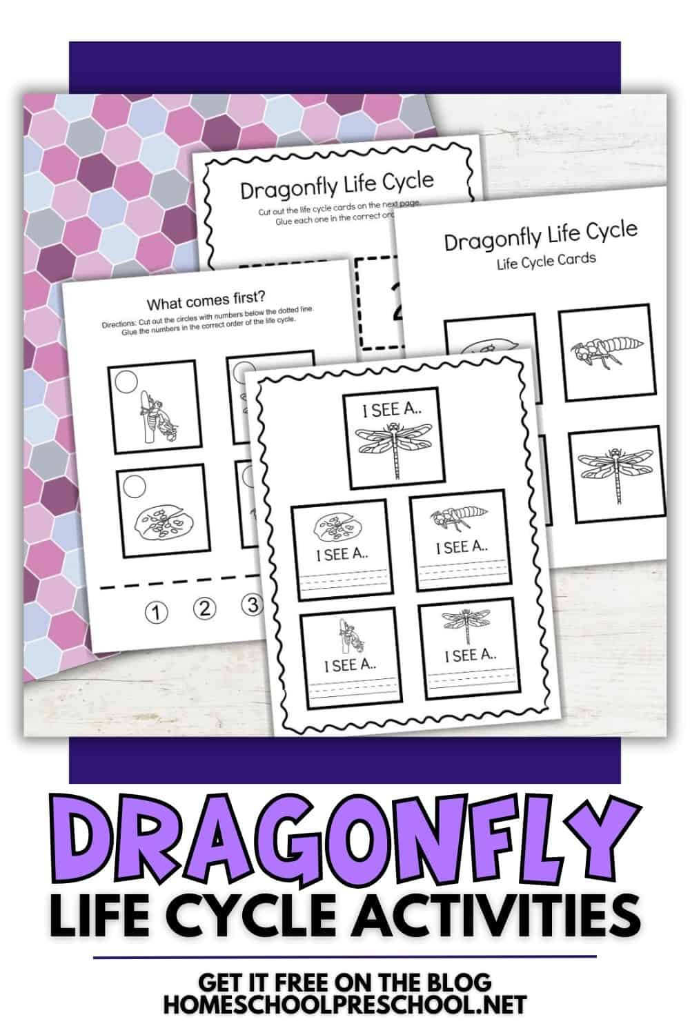 Fun Dragonfly Life Cycle Worksheets for Young Learners
