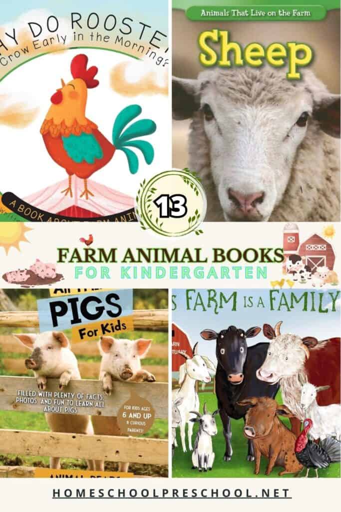 Farm Animal Books for Kindergarten Kids to Enjoy