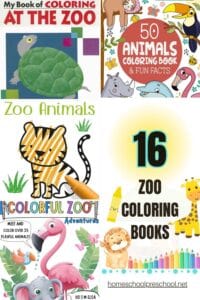 Fun Zoo Coloring Books for Preschool Zoo Theme Activities