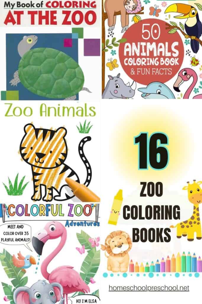 Fun Zoo Coloring Books for Preschool Zoo Theme Activities