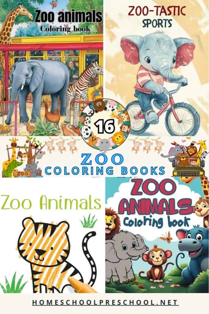 Fun Zoo Coloring Books for Preschool Zoo Theme Activities