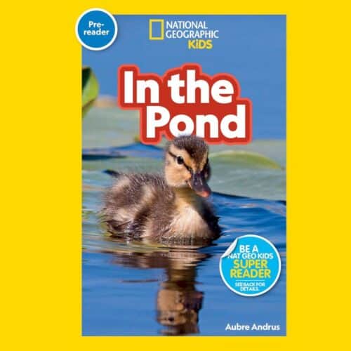 Pond Books for Preschoolers to Read and Enjoy Together