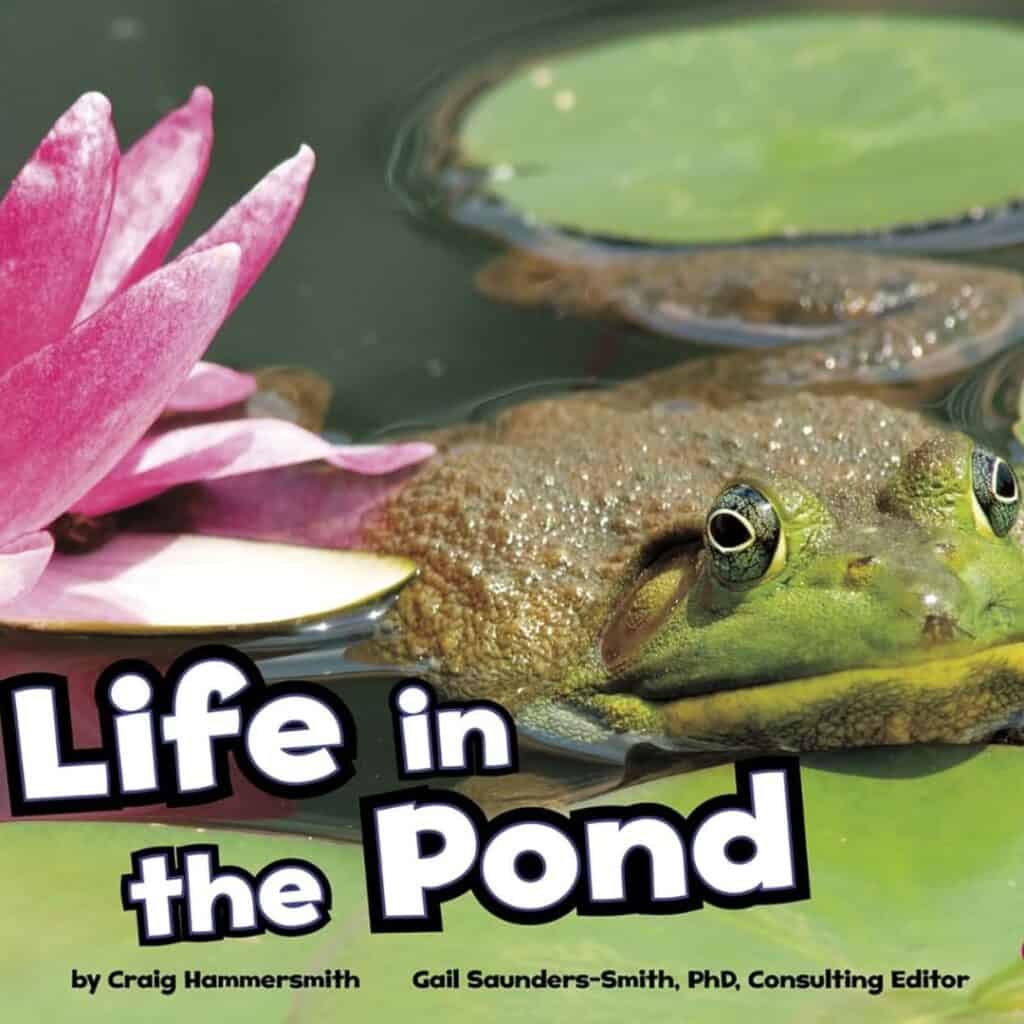 Pond Books for Preschoolers to Read and Enjoy Together