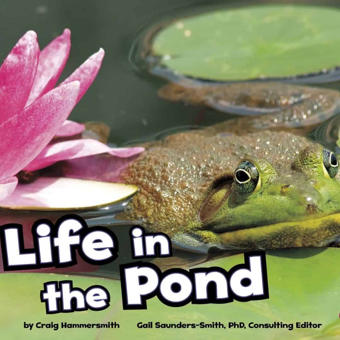 Pond Books for Preschoolers to Read and Enjoy Together